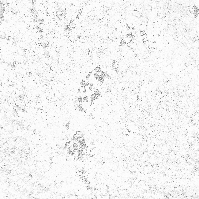 Archi+ Big | Novacolor, the colours of Architecture